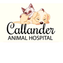 Callander Animal Hospital in ON